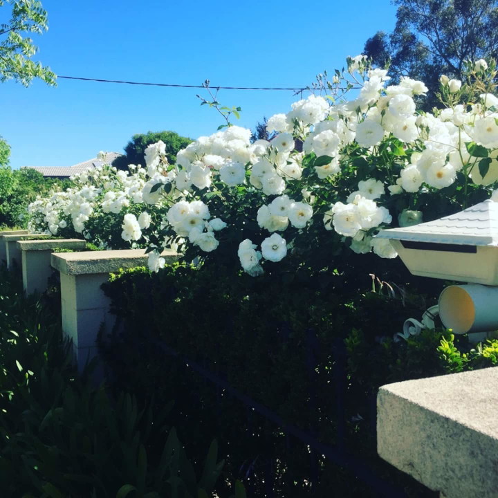 Value | Style | Comfort | Safe Home - Albury