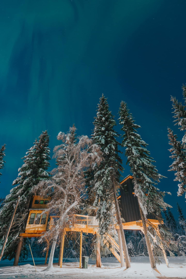 Puffin Treehouse, Hot Tub, Rope Bridge - Fairbanks, AK