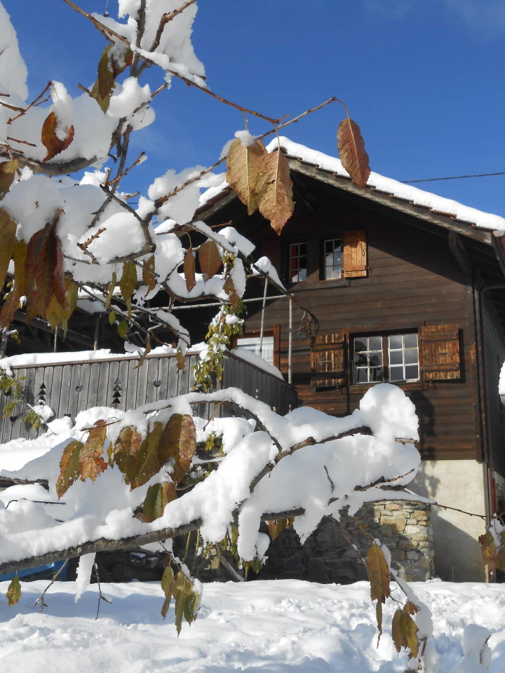 Petit Châlet Au Coeur De Nos Montagnes - Bernex