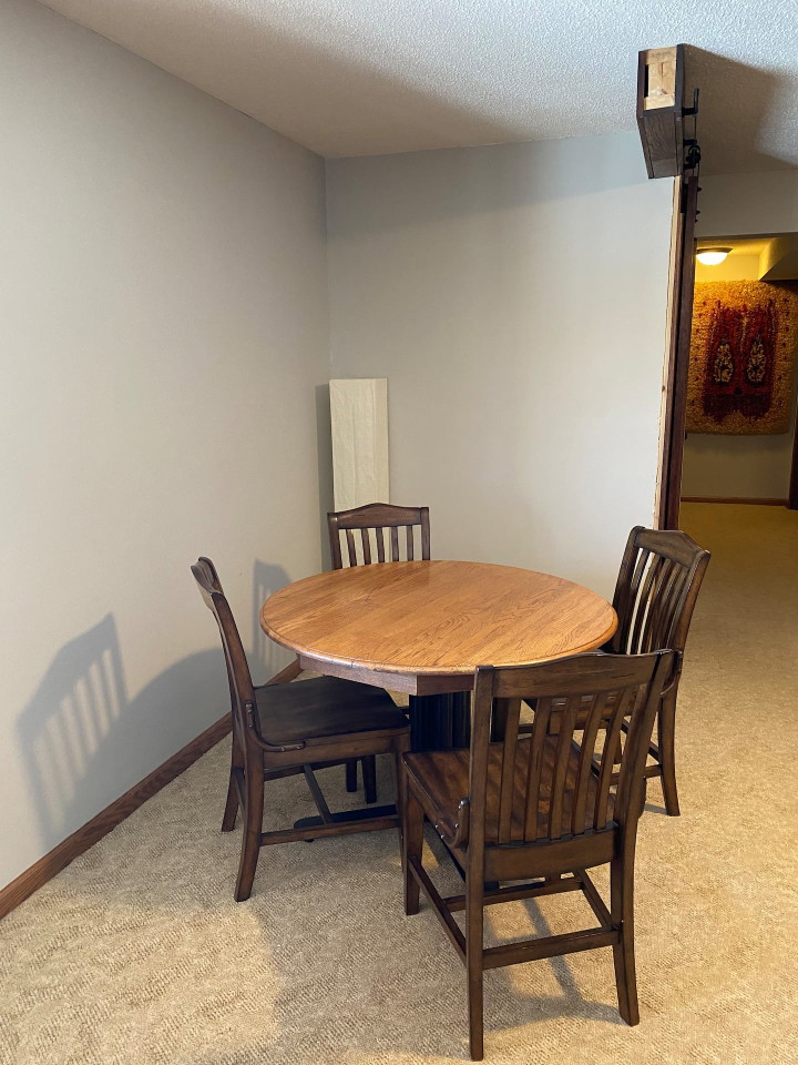 Duluth Sauna Suite! Centrally Located Duluth Gem. - Duluth, MN