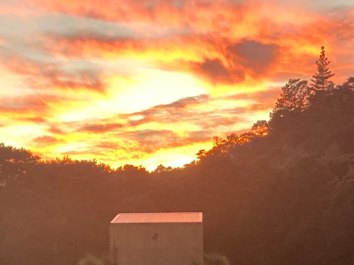 Sunrise - Whangamatā