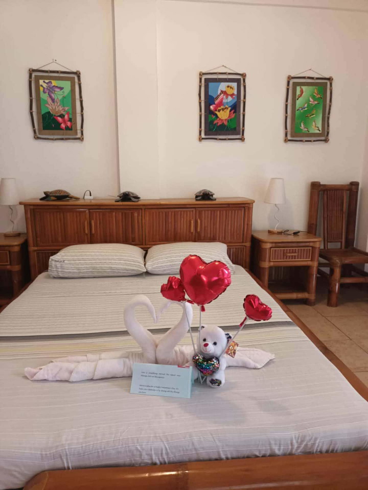 Luxury Apartment In Resort - Moalboal