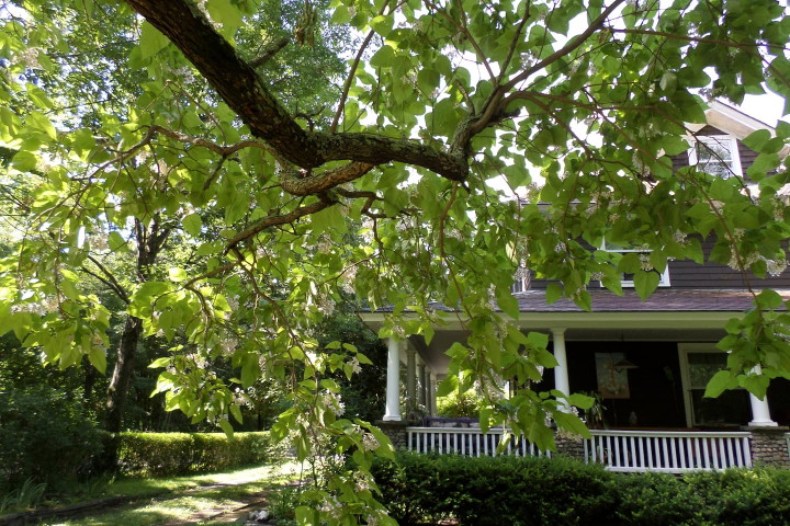 Catskill Classic Charm. - Woodstock, NY