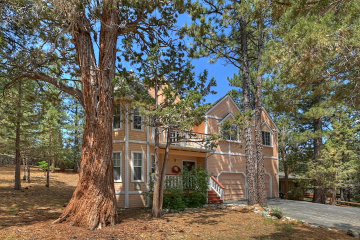 Big Tree Lodge: Ping Pong! Fireplace! Propane Bbq! - California