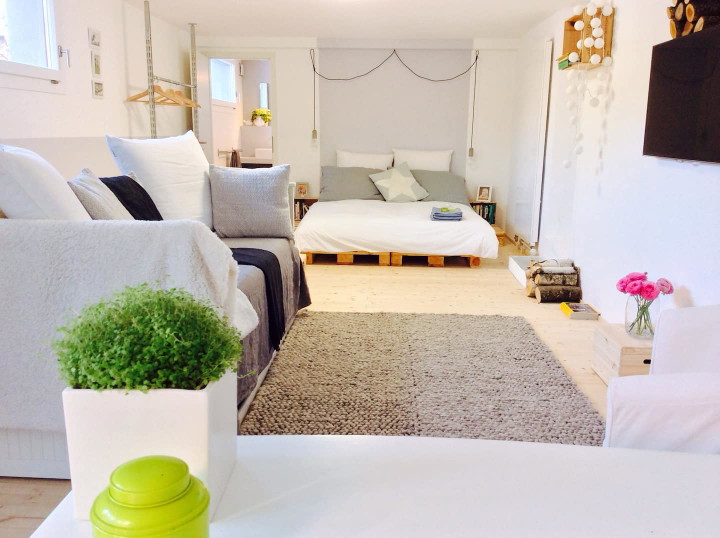 Calm Spacious Renovated Unit, Garden And Parking - Geneva