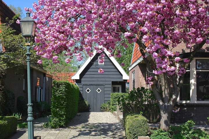 Vakantiehuisje: De Veranda Van Amerongen - Veenendaal