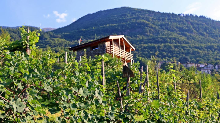 "Una Casa Tra Gli Alberi" B&b Oasi Biodinamica - Sondrio