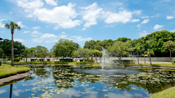Wg-près Des Plages Et Img, Piscine, Tennis, Pickleball - Bradenton, FL