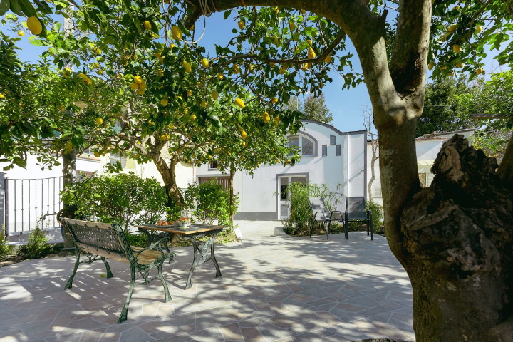 Le Giuggiole - House In A Procida Lemon Grove - Procida