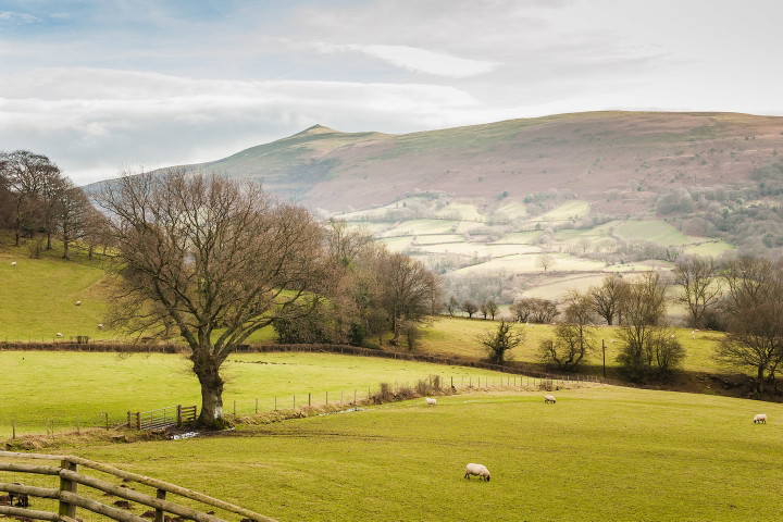 A Comfy, Well Equipped Space In The Brecon Beacons - Crickhowell