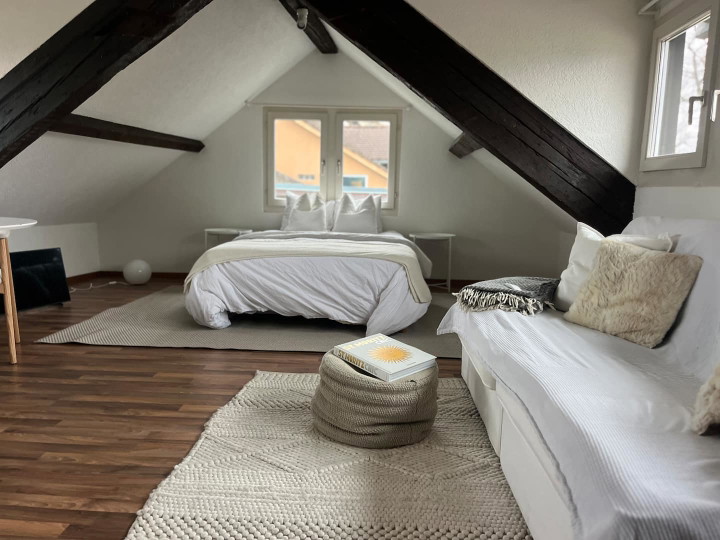 Chalet-style Rooftop Loft With Amazing View - Zurich
