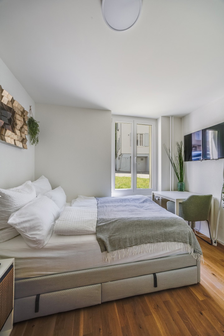Central Studio | 5 Min. To The Train Station - St. Gallen