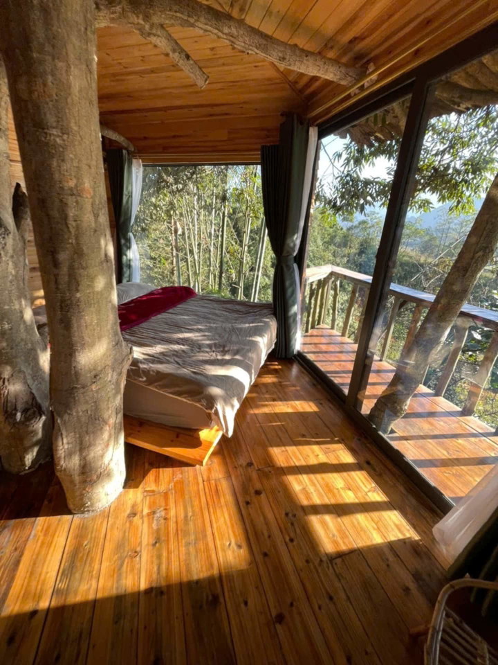 Private Double Tree Bungalow - Sapa Jungle - China