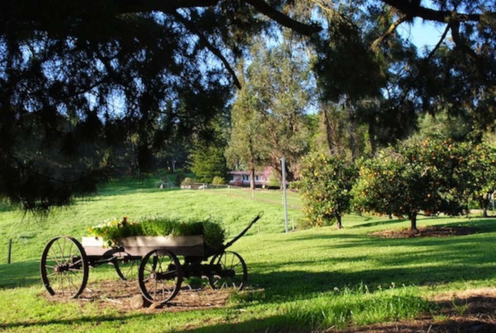 Edenside Cottage - Perth