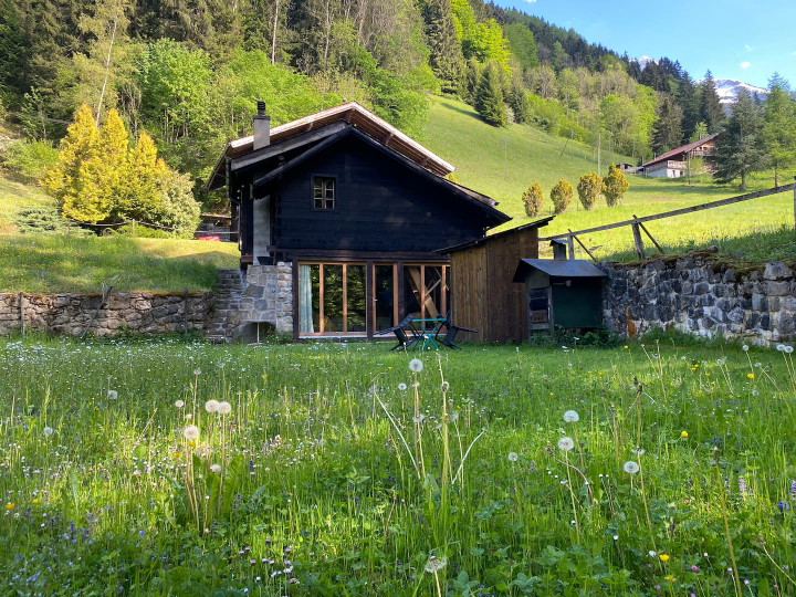 Authentic Chalet For Mountain Lovers Great For Ski - Champéry