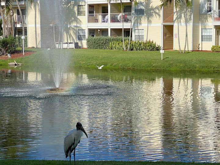Beachside Bliss, Near The Beach  (2 Bed 2 Bath) - Satellite Beach, FL