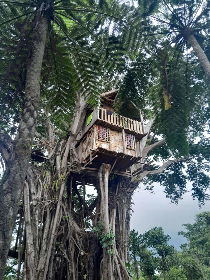 Glowing View Tree House - Vanuatu