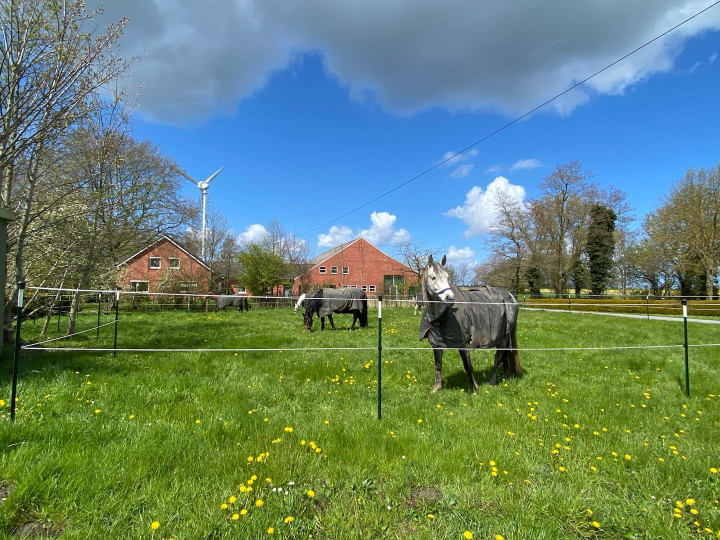 Fewo Harlesiel -Ferienhof Mischke - Carolinensiel