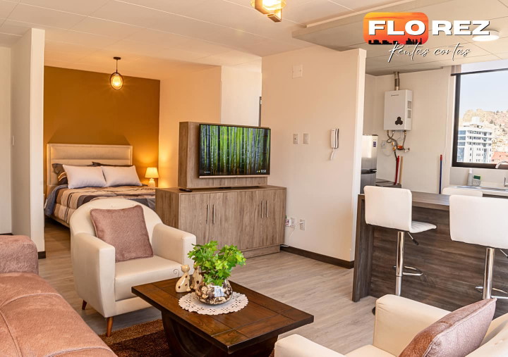 Beautiful Apartment, Central + Heating - Bolivia