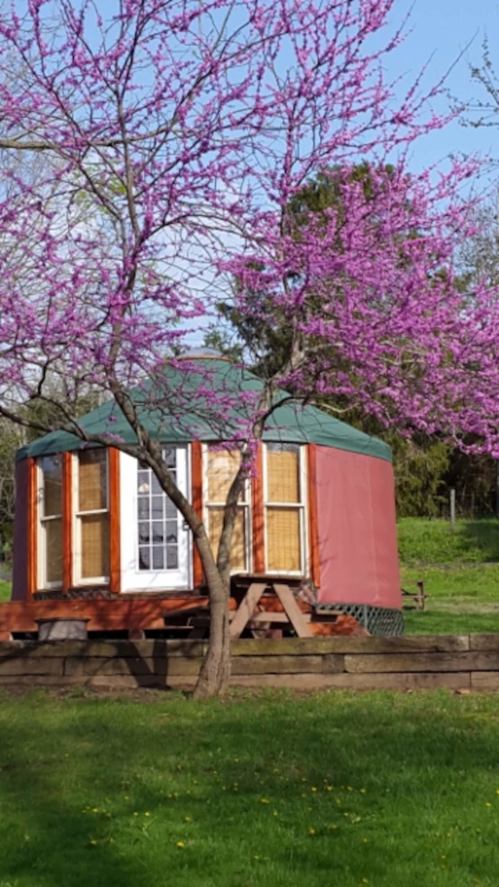 Painted Horse Yurt @ #1 Rock Tav River Kamp/ Wifi - Virginia