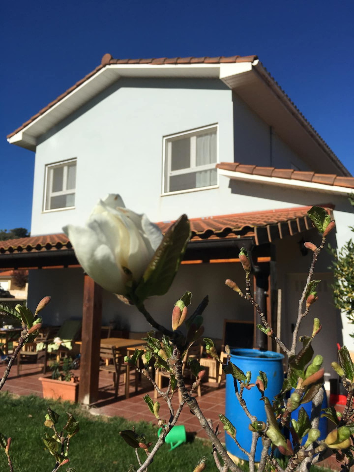 La Casita Azul - Sos del Rey Católico