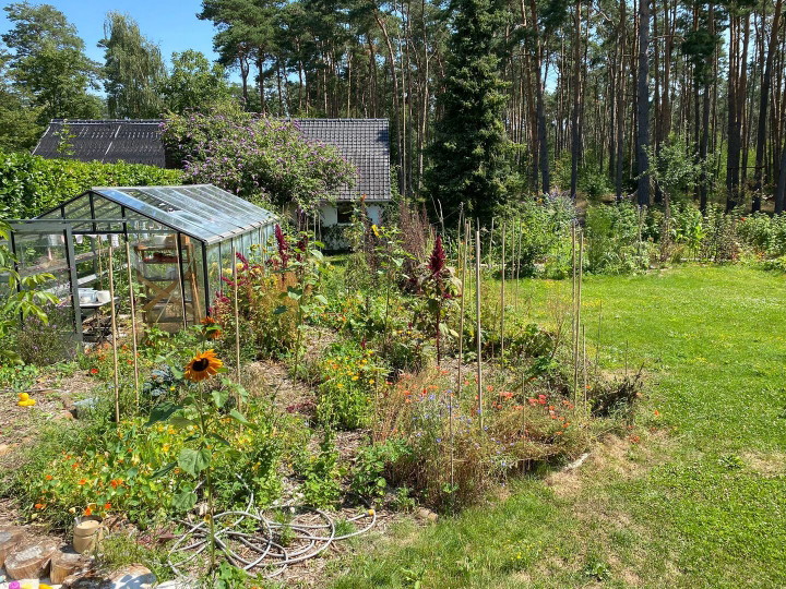 Gezinswoning Met Moestuin En Bos - Mol