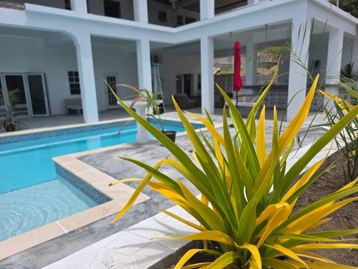Royal 1 - Chez Mango| Oceanview |Swim Up Pool | Ac - Montserrat