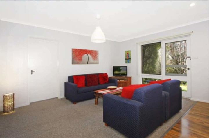 Cedar Apartments - Bright