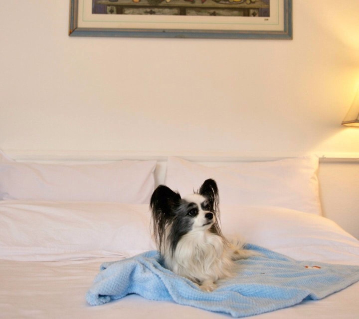 Boutique Hotel Bedroom With Ensuite Bathroom - Sutherland Shire
