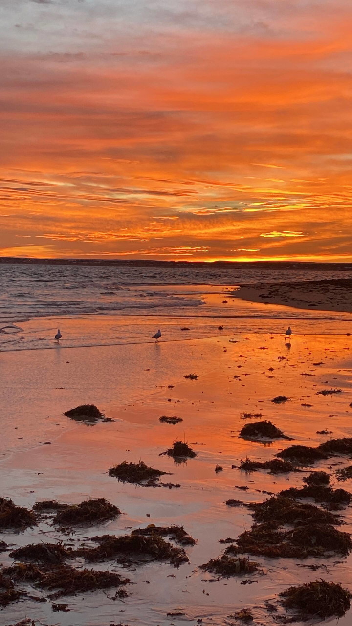 Doddies Seaview Apartments - Mandurah
