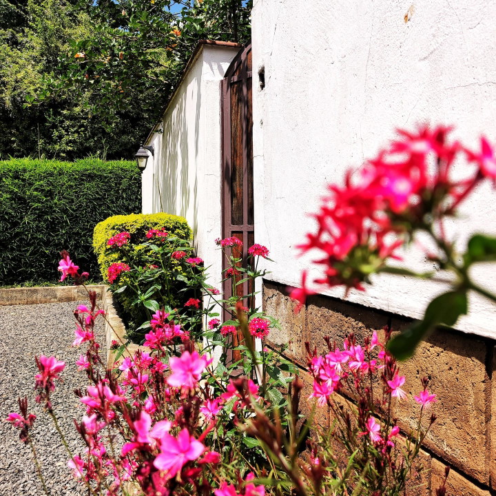 Cottage Apartment, 1 Bedroom, With Private Garden - Kenya
