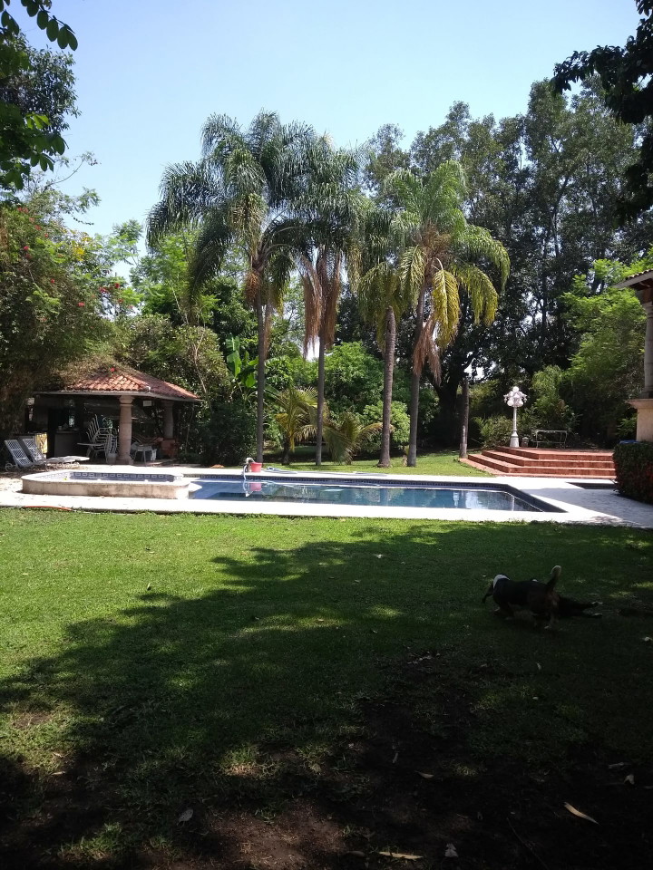Casa Boli: Paz, Jardín Y Alberca Para Familias - Cuernavaca