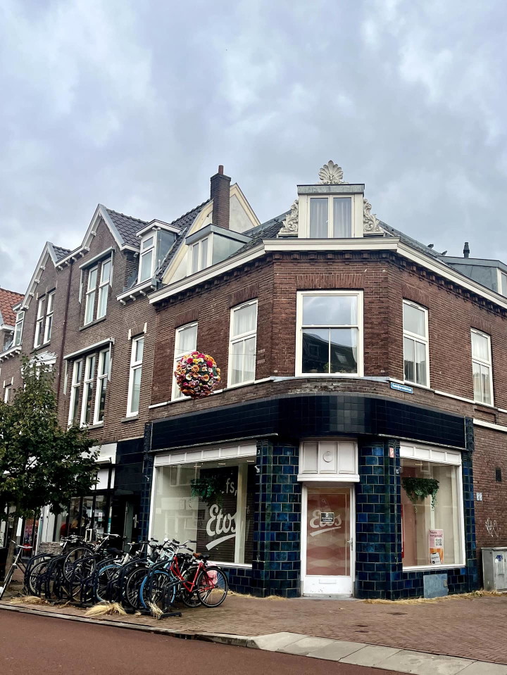 Ruim Appartement Dichtbij Centrum - Utrecht