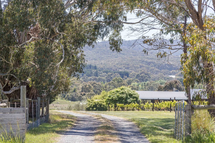 Cobaw Views  A Mount Towrong Vineyard Retreat - Lancefield