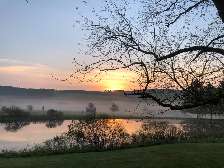 Coldbrook Cabin Finger Lakes, Fields & Colleges - Tully Lake, Tully