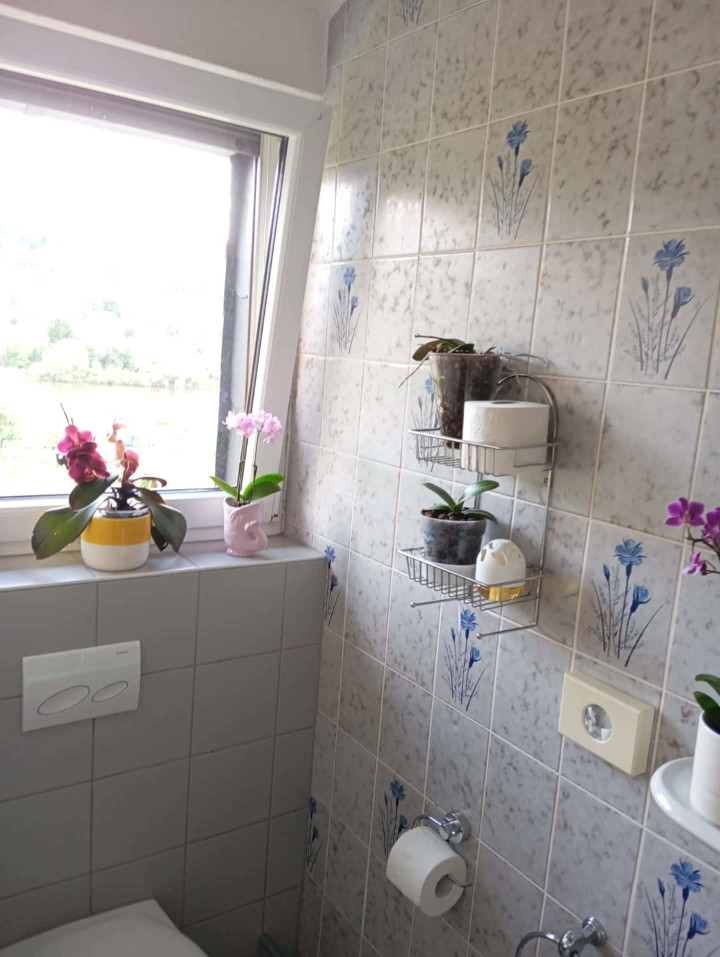 2-3 Pers. Im "Orchideen Zimmer" D.a.d. Mosel - Traben-Trarbach