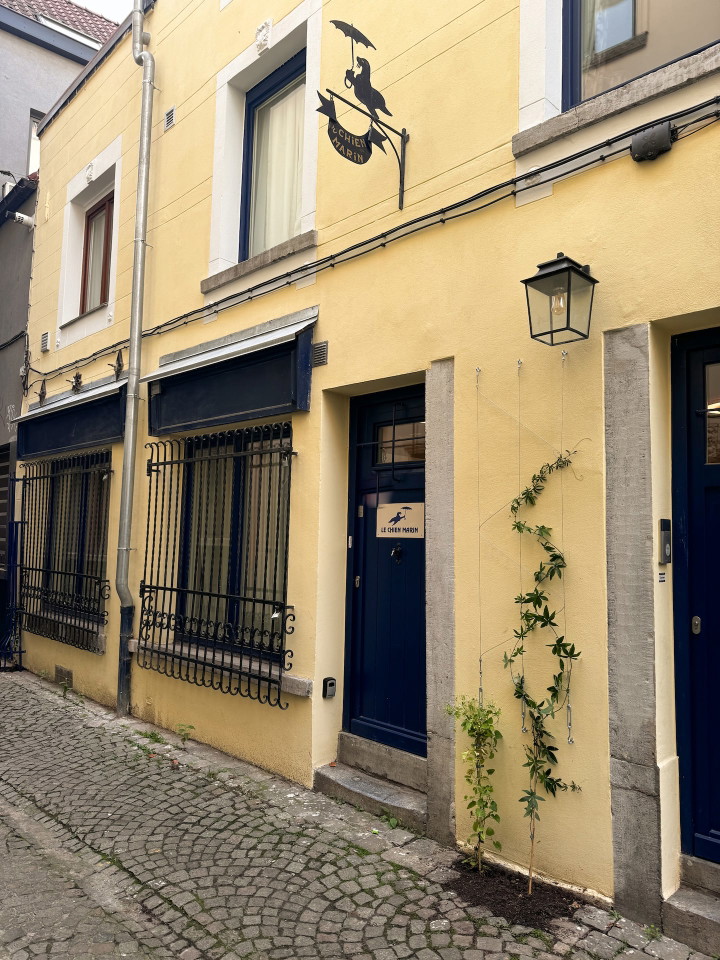Le Chien Marin - Studio En Plein Centre - Bruxelles