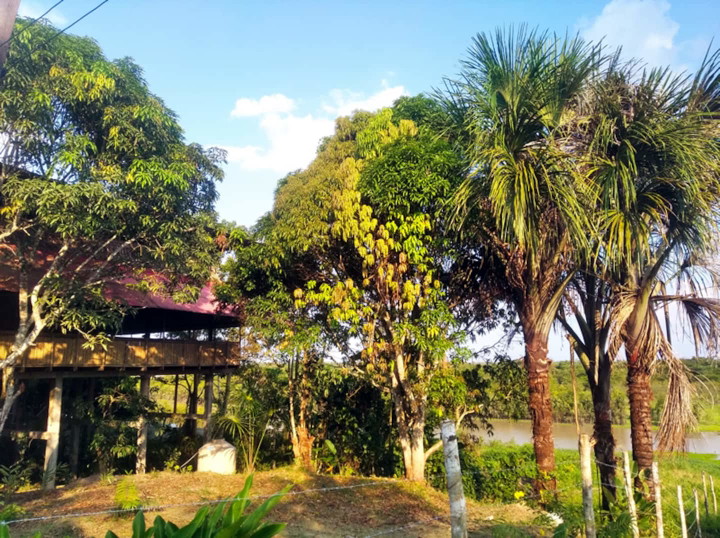 Authentic Amazon Stilt House | Culture & Nature - Iquitos