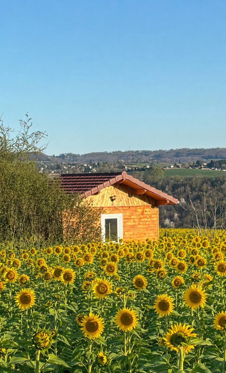 Petit Chalet Refait A Neuf - Bourgoin-Jallieu