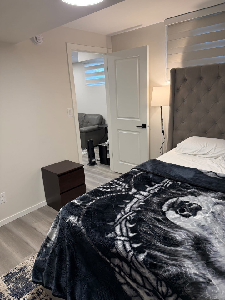 Luxury 1-bedroom Basement Suite - Winnipeg