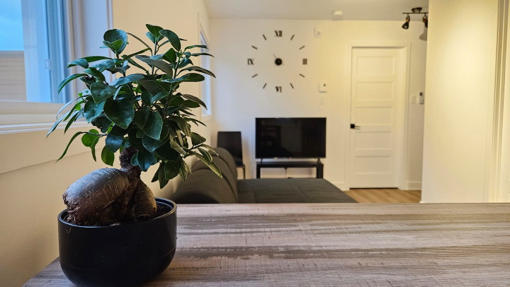 In The Heart Of The Village - Apartment 6 - Rawdon