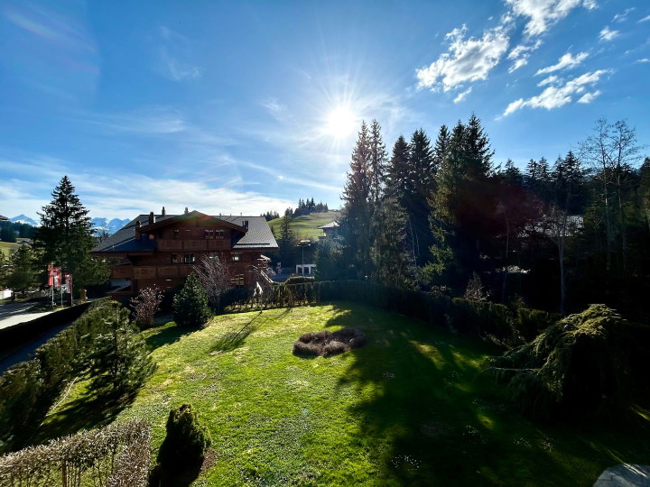 Charming Alpine Apartment Near Gstaad - Saanen