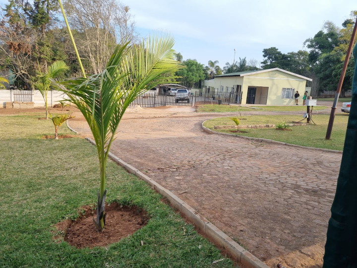 Farm Life Experience In Town - White River