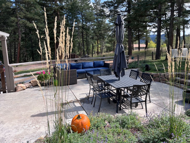 Dog Favorite~2 Fenced Acres, Cabin~family~couples - Morrison, CO