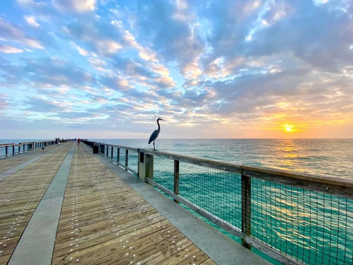 Gulf And Sound Views With Tranquil Sunsets! - Pensacola Beach, FL
