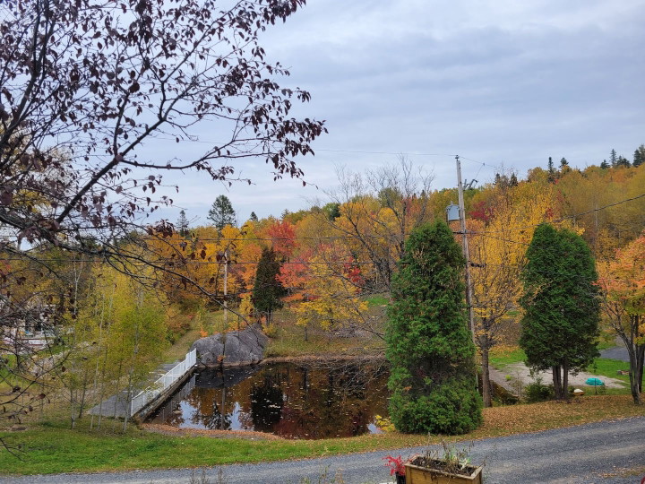 Oasis De Paix En Forêt - Saguenay