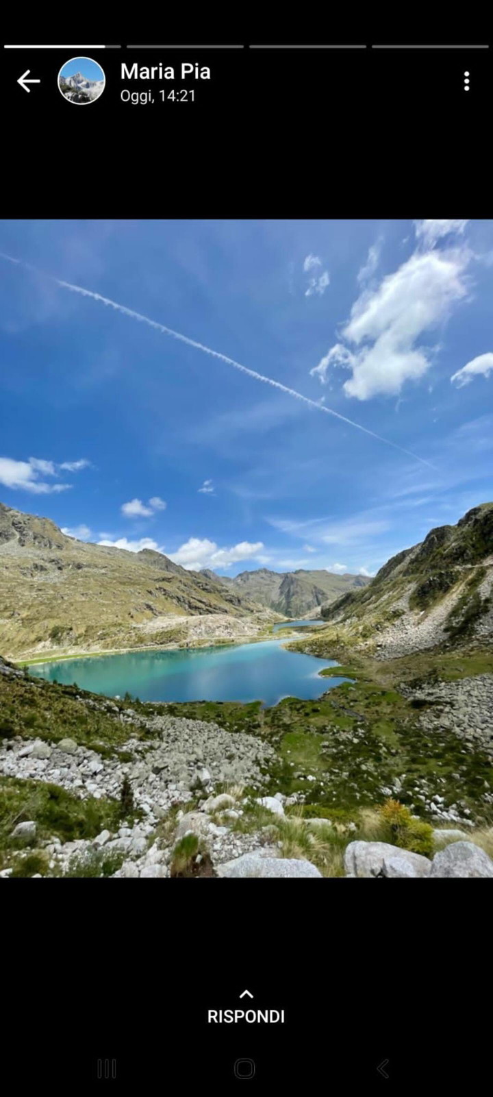 Bilocale Affitto - Madonna di Campiglio