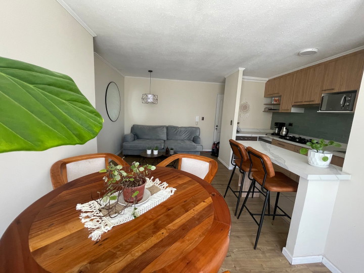 Cozy Apartment + Grill - Curicó