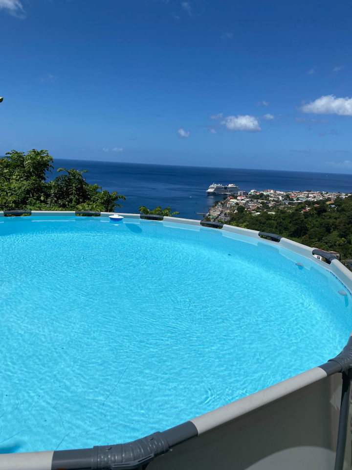 Villa Avec Vue Sur La Mer Fortune - Dominique