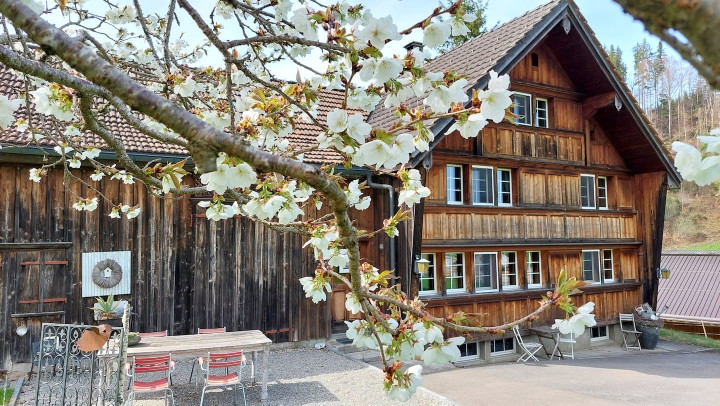 Bauernhaus Mit Sonderbarem Charme (2-6 P. / 3 Zi.) - Appenzell